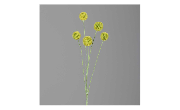 Distel 74 cm bei clevva online entdecken